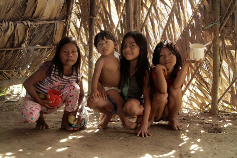 Three Critical Consequences Of The Amazon Fires: Biodiversity Loss, Climate Change and Health ...