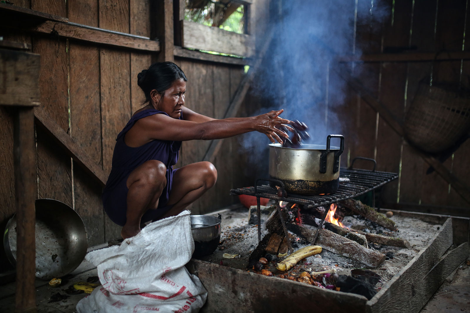 Women and Ecosystems - Amazon Frontlines