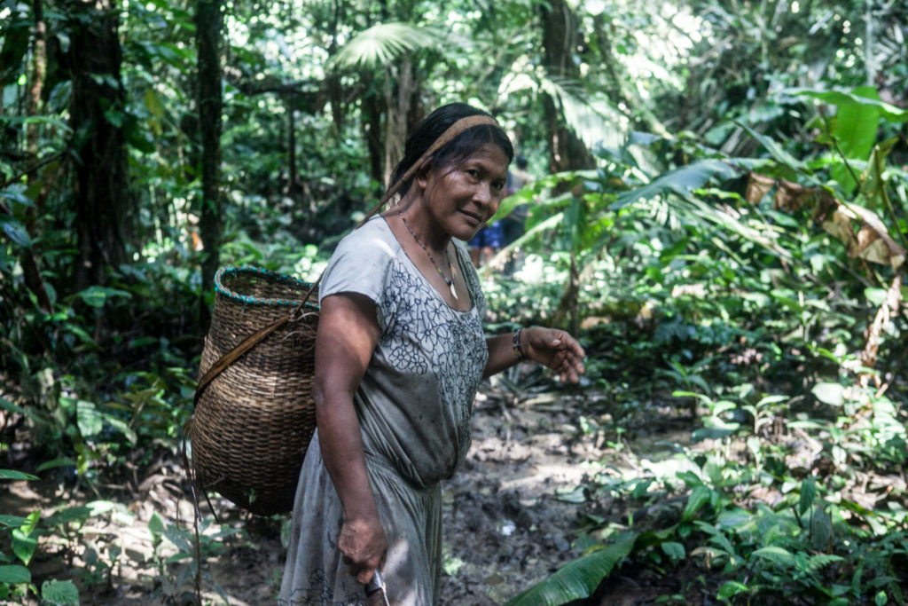 Indigenous-led Conservation in the Amazon: A win-win-win solution ...