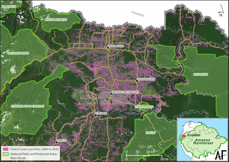 Deforestation Inside Conservation Areas: Ecuador’s Failure to Protect ...