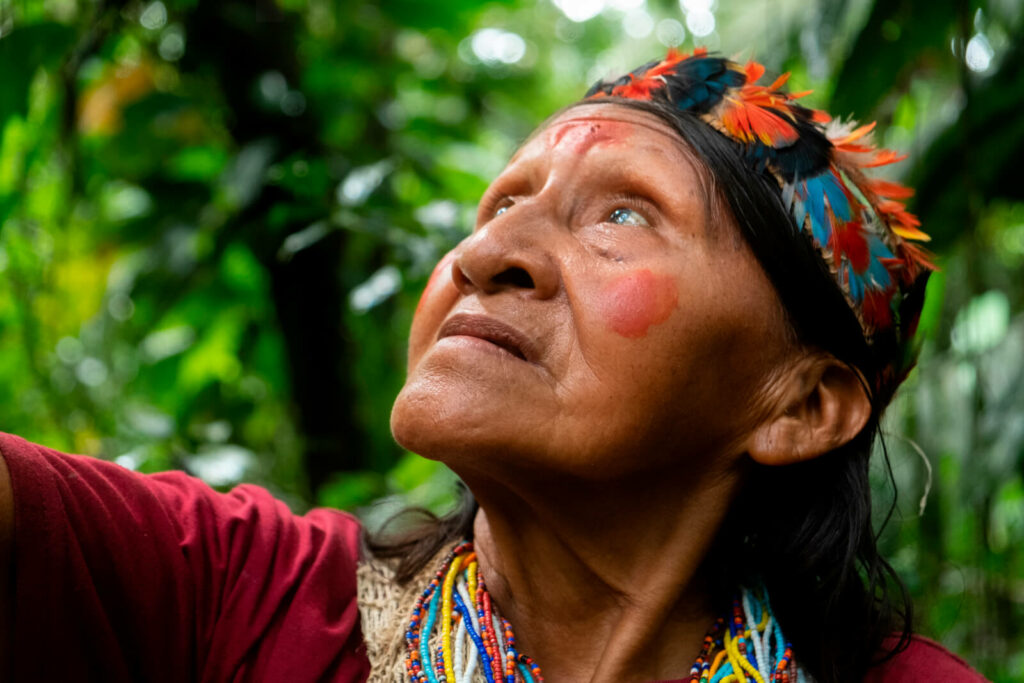 The First Line of Defense: Indigenous Guards of the Amazon - Amazon ...
